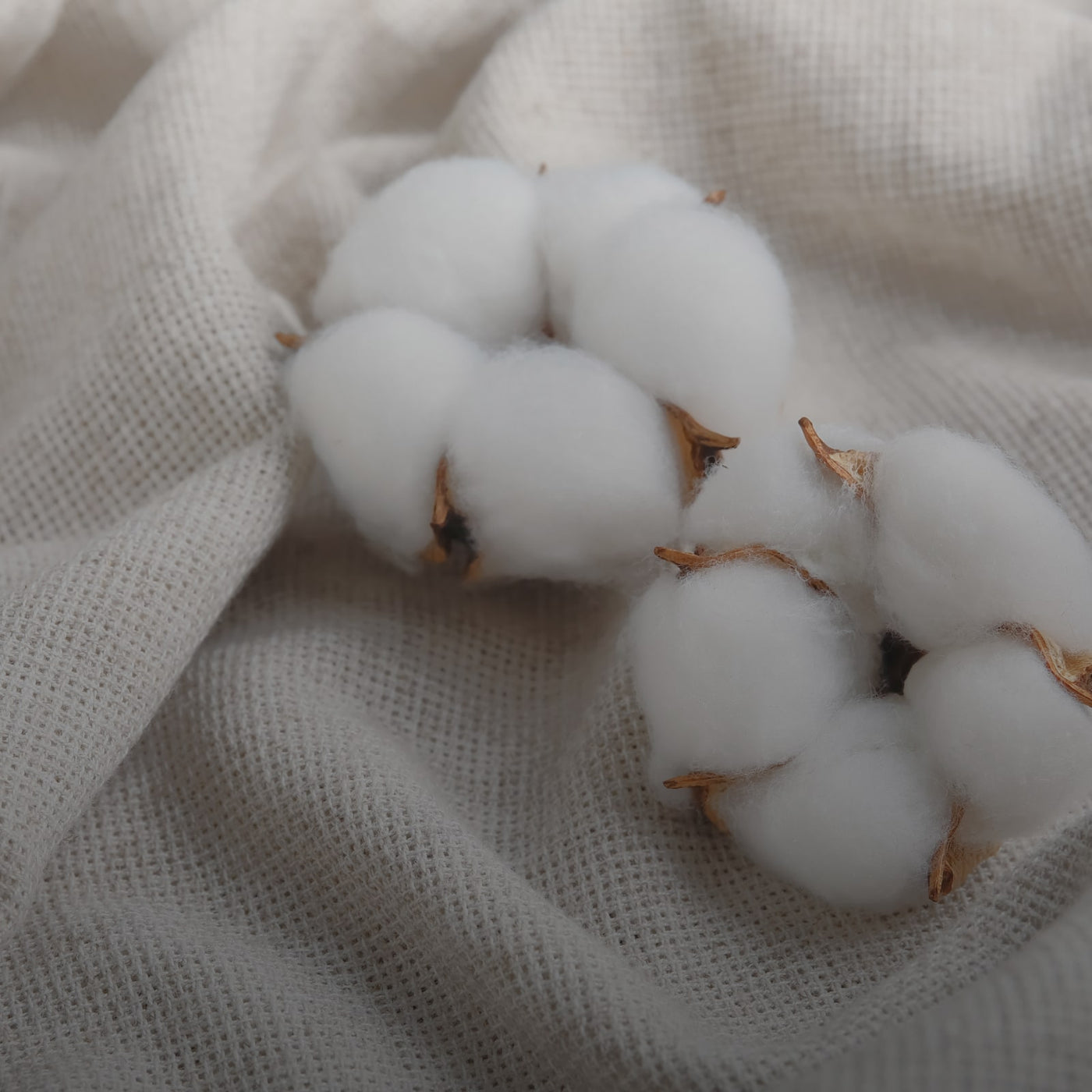 AIZOME | Organic Bedding & Basics